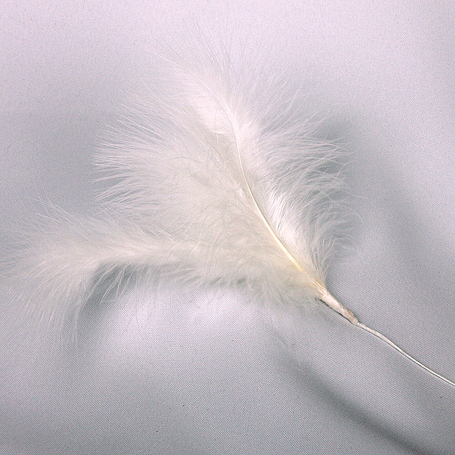 Fluffy Feathers | UK Wedding Favours
